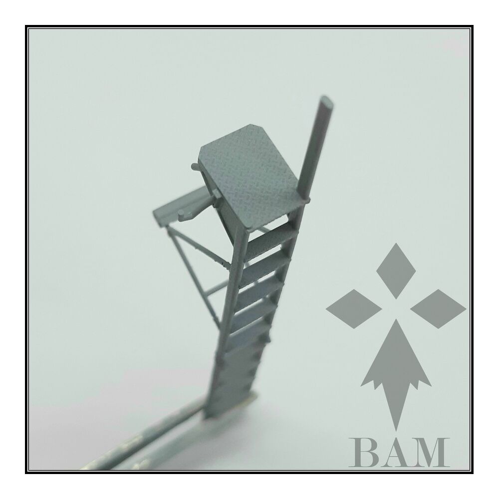 Rafale B/C boarding ladder