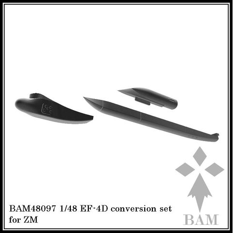 BAM Models