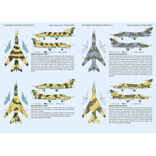 Su-17/22 Tumansky R-29-300 Rear Fuselage Conversion