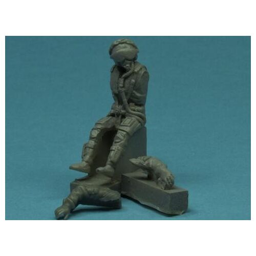 Modern RAF Pilot Seated