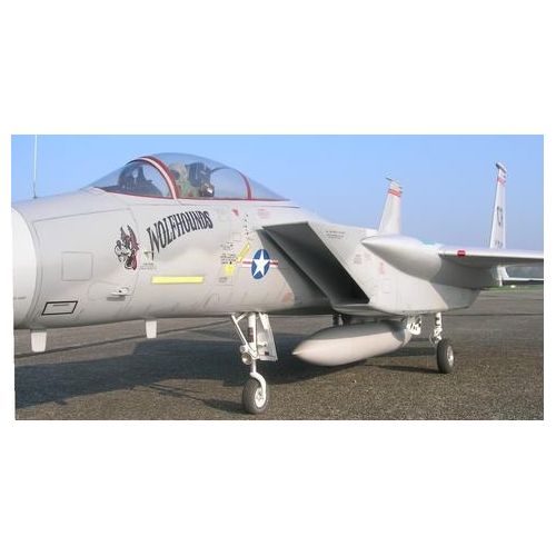 F-15 seamless intakes