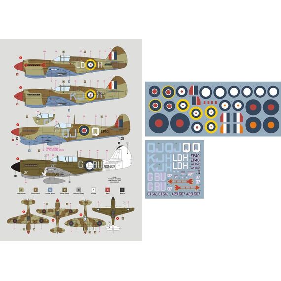 John L. Waddy and his aircraft