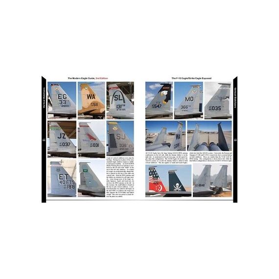 The Modern Eagle Guide, 2nd Edition