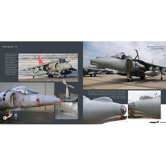 BAE Systems Harrier II