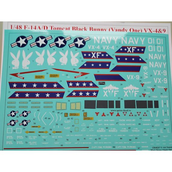 F-14A/D Tomcat Black Bunny (Vandy One) VX-4&9
