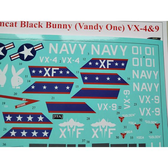 F-14A/D Tomcat Black Bunny (Vandy One) VX-4&9