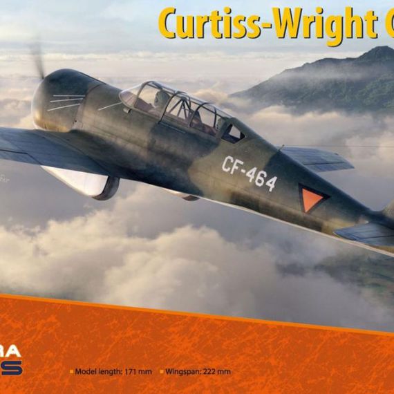 Curtiss-Wright CW-22B Dora Wings DW48036 1:48