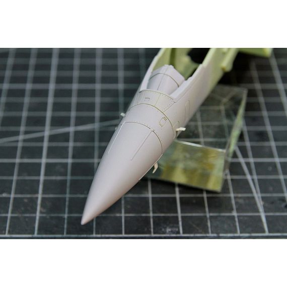 Mirage 2000-5 D/N correct nose