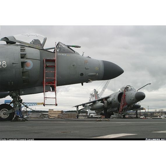 Hunter and Harrier step ladders