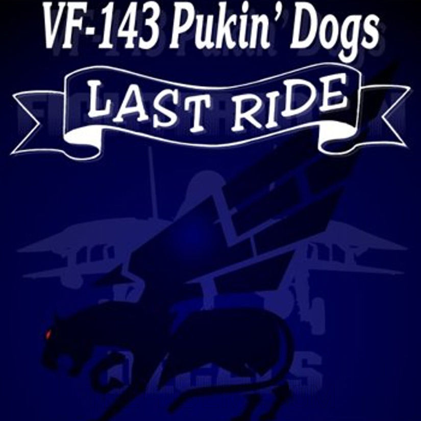F-14B Pukin' Dogs Fightertown Decals 48003 1:48