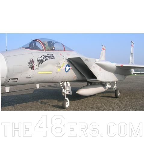 F-15 seamless intakes